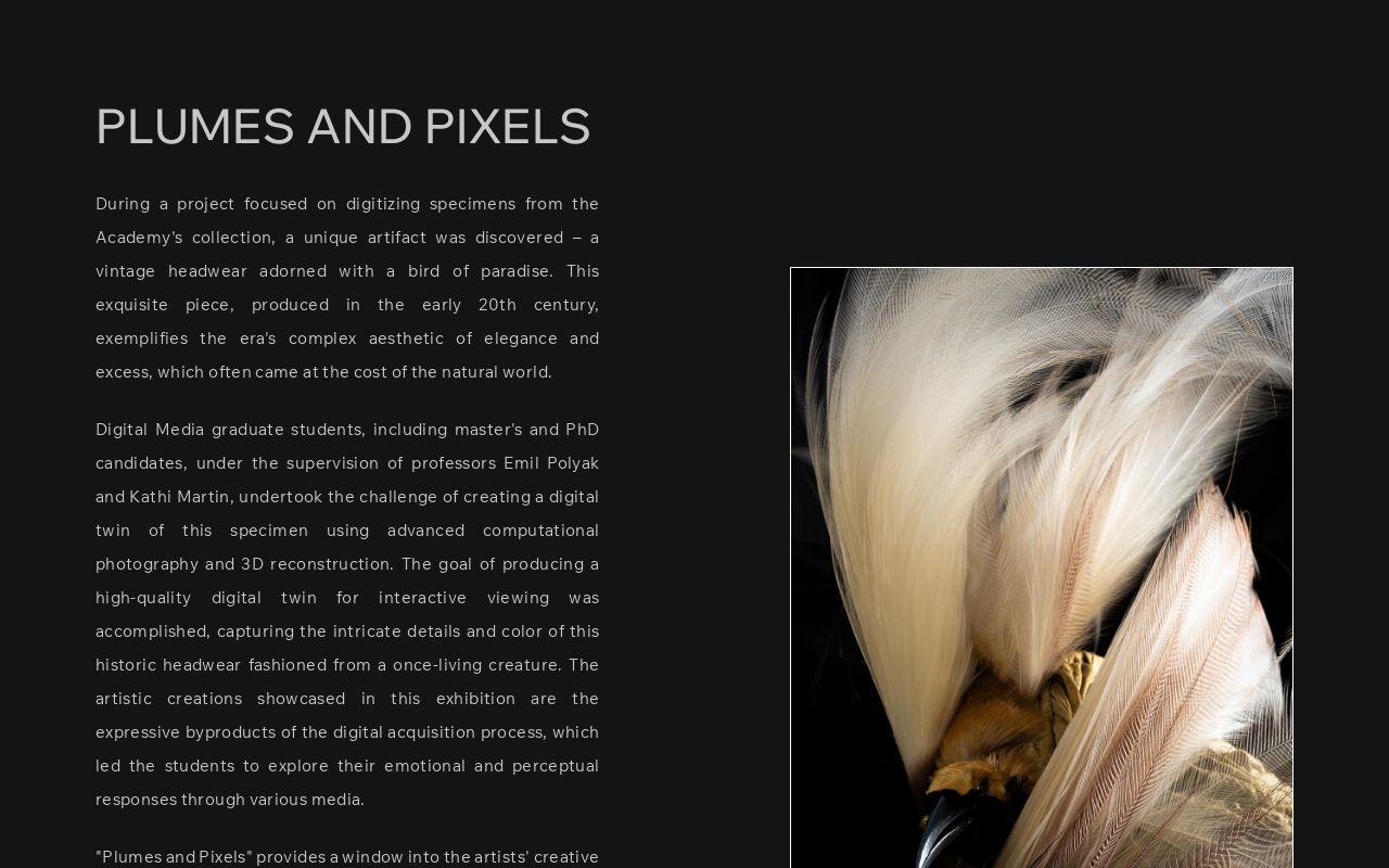 Plumes and Pixels